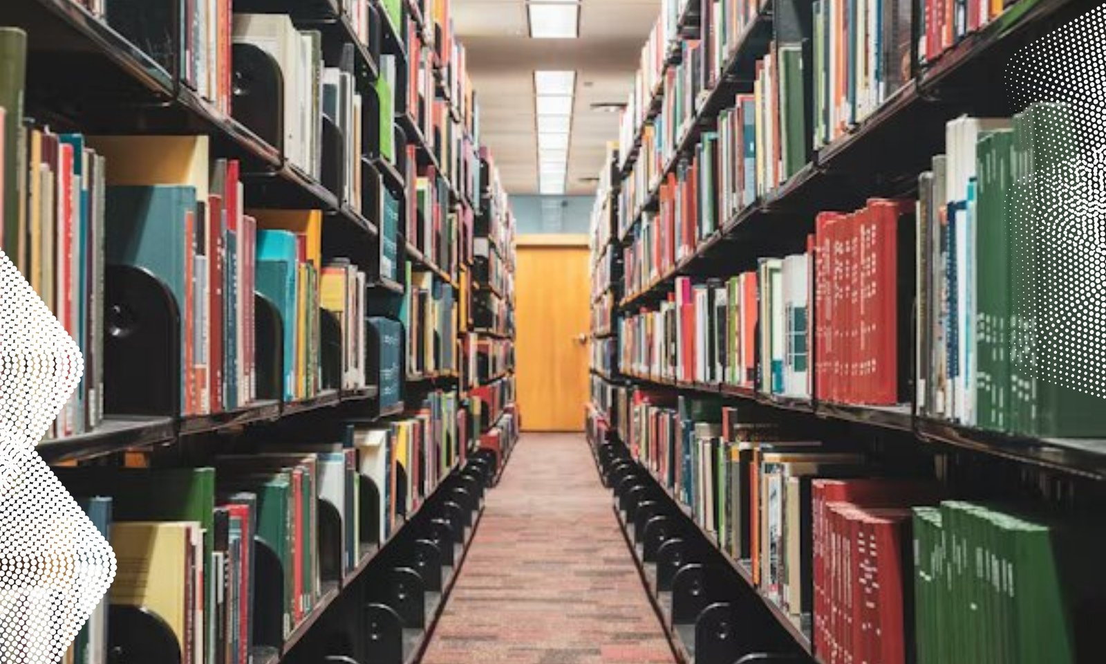 Best Personal Development Books: Top Picks & Reviews for 2025 | THE ...