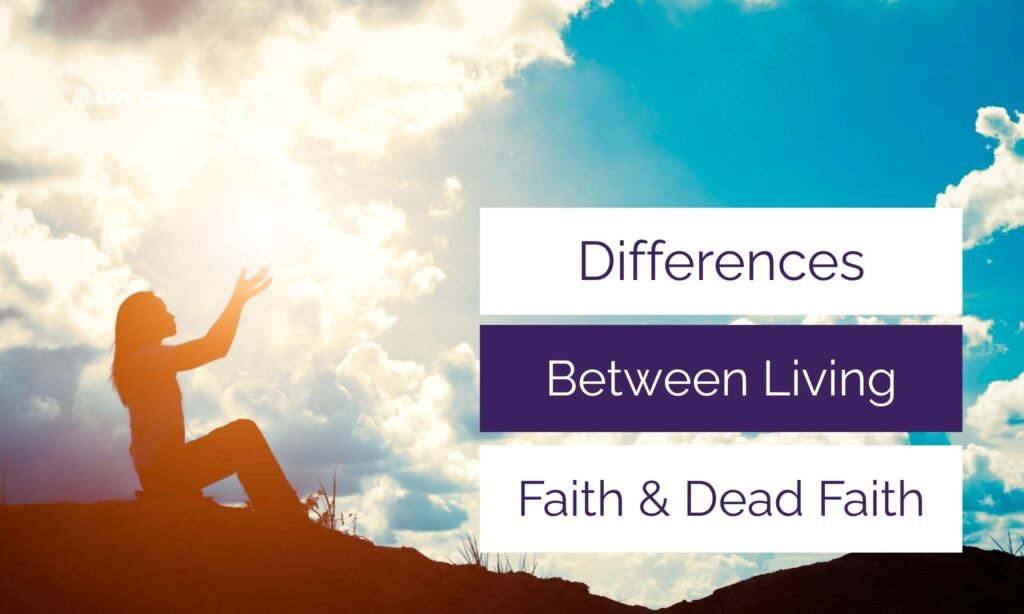Dead Faith vs Living Faith: The Differences For Believers | THE PURPOSE ...